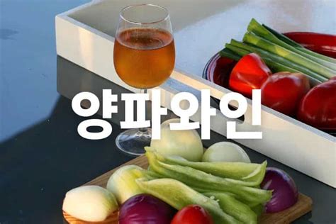 양파와인 효능 19가지 먹는법 부작용 만드는법 건강 뉴스