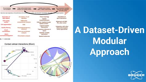 Imaging Based Spatial Transcriptomics Analysis With Cosmx® Smi A