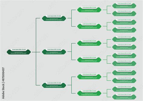 Organizational Hierarchy Infographic And Comparison Template Design