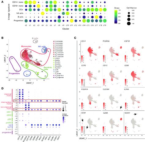 Identification Of 9 Clusters Of Circulating Monocytes By Single Cell
