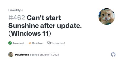 Can T Start Sunshine After Update Windows 11 LizardByte Discussion 462 GitHub