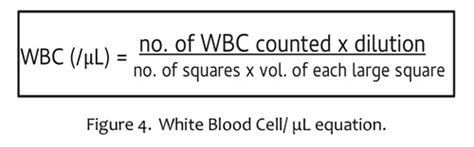 General Principles Of CBC Manual Automated Peripheral Blood Flashcards Quizlet