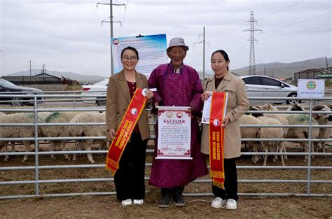 “Шилмэл мал Хөвсгөл 2023” үзэсгэлэнгийн үеэр ашиг шимт хээлтүүлэгч мал шалгарууллаа Murch Mn