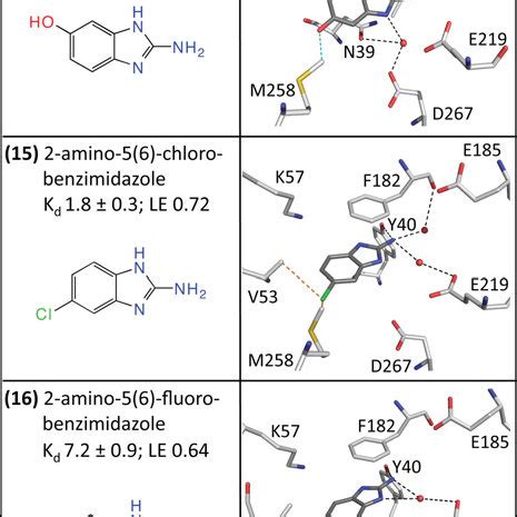 Enzyme Ligand Structures And Binding Information Of Elaborated Download Scientific Diagram