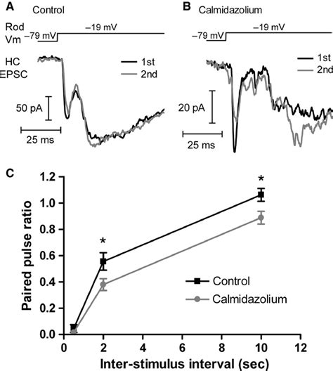 Calmodulin Regulates Vesicle Replenishment Of Vesicles To The Rod