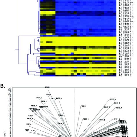 Hierarchal Clustering And Principle Component Analysis In Adult Daphnia
