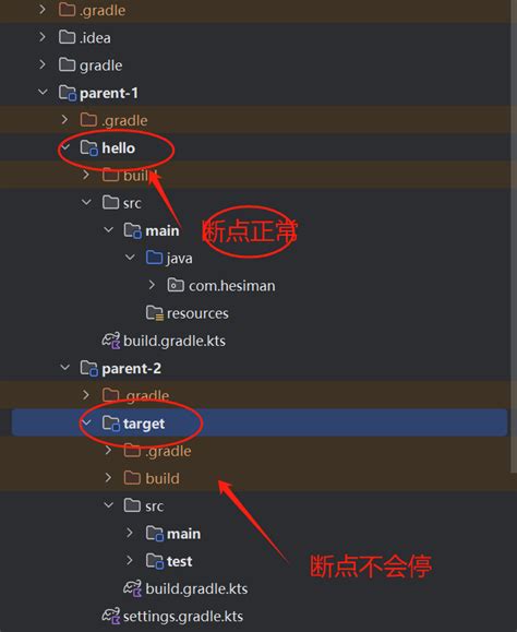 新版idea调试gradle项目是不是有点bug 开发调优 Linux Do