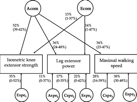 Reduced Ace Model For Maximal Isometric Knee Extensor Strength Leg Download Scientific Diagram