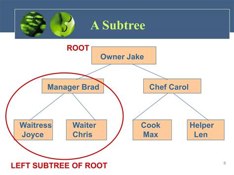 Discrete Mathematics Tree Pptx