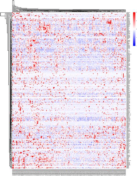 Identification Of Potential Prognostic Long Non Coding Rna Biomarkers Cmar