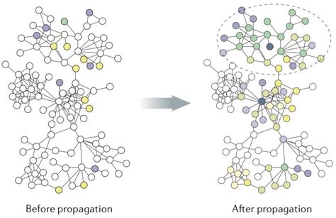 network learning — from network propagation to graph convolution by