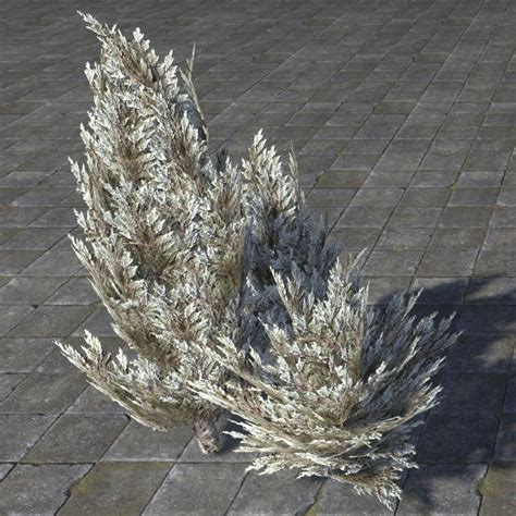 Online Shrub Cluster Snowswept Uesp Wiki The Unofficial Elder Scrolls Pages