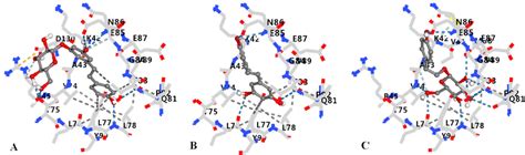 3d Diagram Of Phenols With Higher Vina Score Binding To Txnip A Download Scientific Diagram