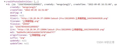 Element El Upload组件方法 传参、联调与封装el Upload传参 Csdn博客