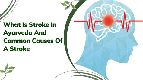 What Is Stroke In Ayurveda And Common Causes Of A Stroke