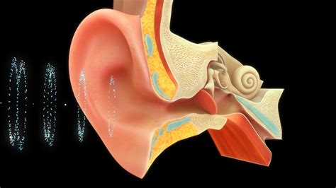 How To Dissolve Ear Crystals Related To Vertigo Dr Berg