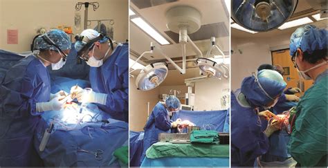 Our Program Department Of Neurosurgery