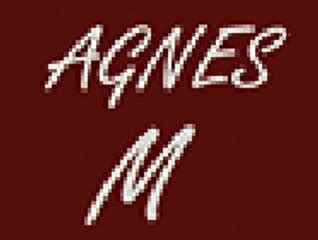 Agnès M Salon De Coiffure Metz