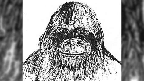 Bigfoot Researchers Lawsuit Tossed Out By Canada Court Bbc News