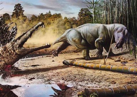 Mesozoic Era Triassic