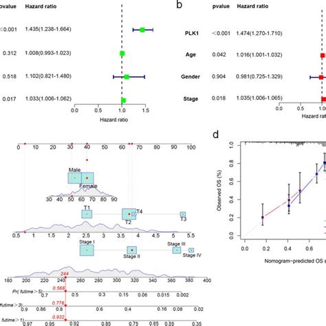Plk1 Gene Expression And Clinicopathological Features A Plk1 Gene