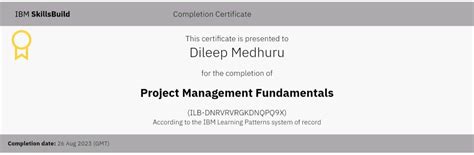 dileep medhuru on linkedin i successfully completed project