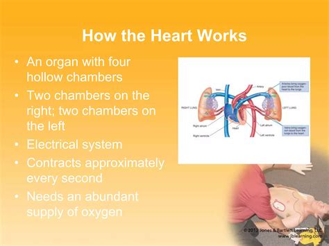 chapter 6 automated external defibrillation ppt