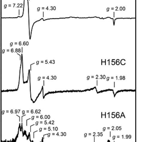 Uv Visible Absorption Spectra Of Heme Reconstituted Wild Type Solid