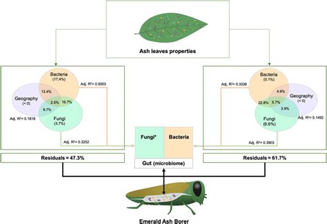 Global Representation Showing Variation Partitioning Analysis Of Download Scientific Diagram