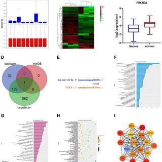 Bioinformatics Analysis A The Gene Expression In GSE101639 Was Download Scientific Diagram