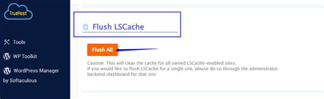 How To Clear Litespeed Cache