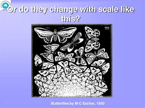 Ppt Ore Inspiring Structures Some Numerical Modelling Perspectives
