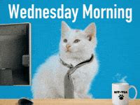 Funny Wednesday Coffee Pictures