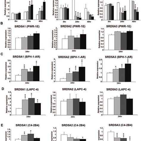 The Expression Pattern Of 5a Reductase In Prostate Cell Lines Varies