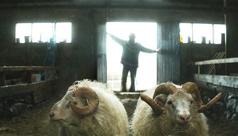 Rams La Nueva Película De Sam Neill En La Que Se Convierte En