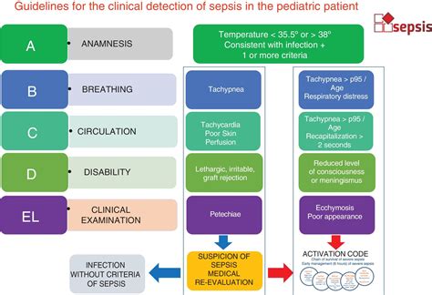 Severe Sepsis Algorithm Severe Sepsis Algorithm