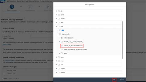 implementation of sap content server and maxdb in suse high