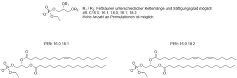 Peth Basic Structure And The Two Most Common Homologs