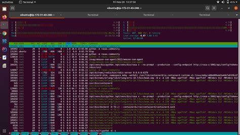 Rasax Stops Responding Deprecated Rasa X Community Edition 2024 12 09