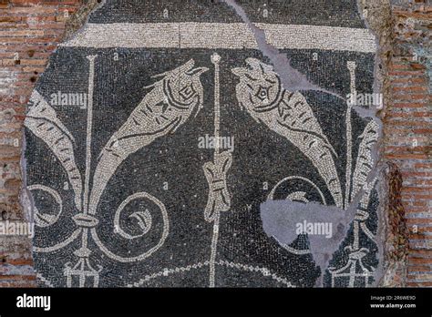 Richly Decorated Floor Mosaics At The Baths Of Caracalla The Baths Of