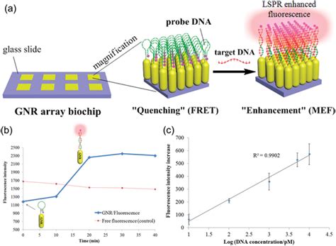 A Schematic Of Lspr Enhanced Fluorescence Applied In Au Nanorods Array