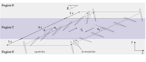 Schematization Of The Flapping Kinematics And Time Evolution Of The