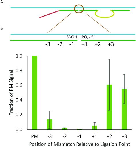 Assay Specificity For Single Base Detection A The Diagram Download Scientific Diagram
