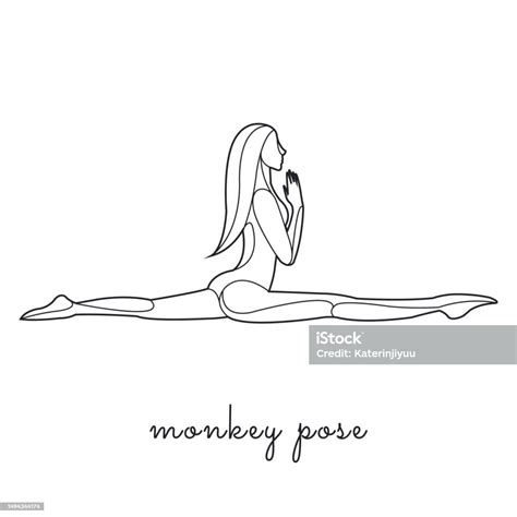 요가를 연습하는 여자 원숭이 포즈 라인 스타일 일러스트레이션 가냘픈에 대한 스톡 벡터 아트 및 기타 이미지 가냘픈 건강한
