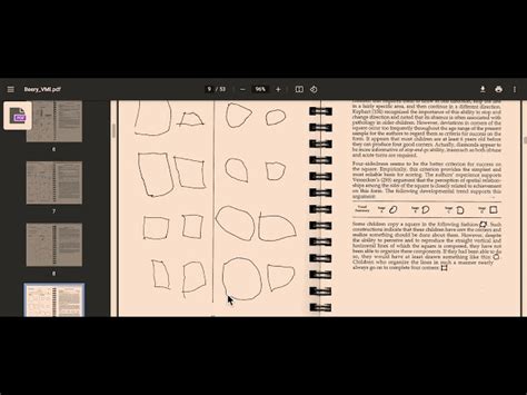 Developmental Test Of Visual Motor Integration Scoring Sheet