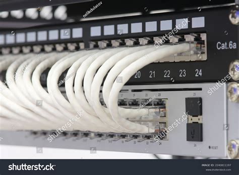 Connecting Ethernet Switch Using Patch Cords Stock Photo Shutterstock