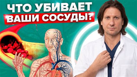 Вредные и полезные продукты для здоровья сосудов Как укрепить сосуды Youtube