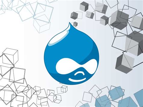 Website Localization Examples Drupal L N Ciklopea