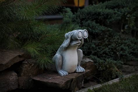 Хітбетон — Жаба з біноклем