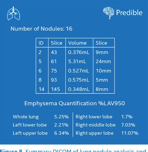 Figure 8 From Intel® Distribution Of Openvino™ Toolkit Speeds Up Lung Nodule Detection And